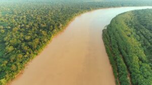 How Deep Is the Amazon River - Find Out the Facts and Figures