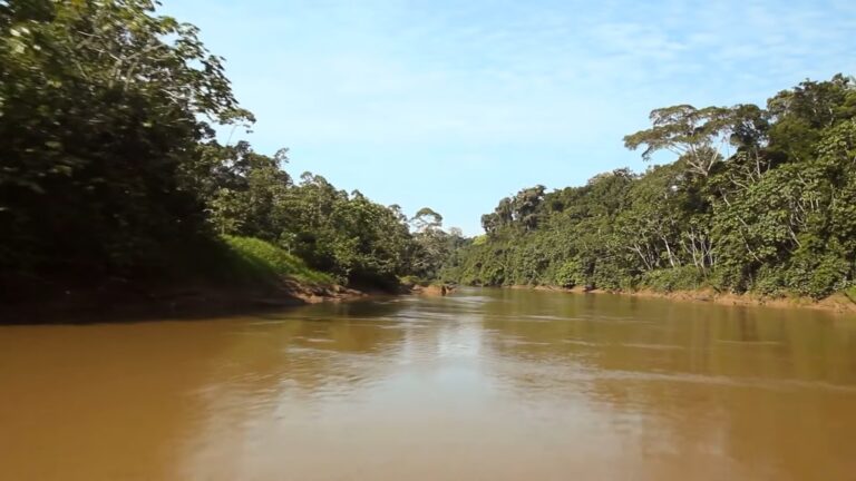 How Deep Is the Amazon River - Find Out the Facts and Figures